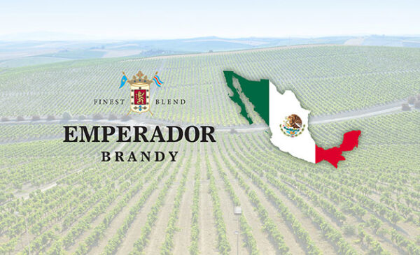 Emperador sees further expansion of brandy business in the US next year ...